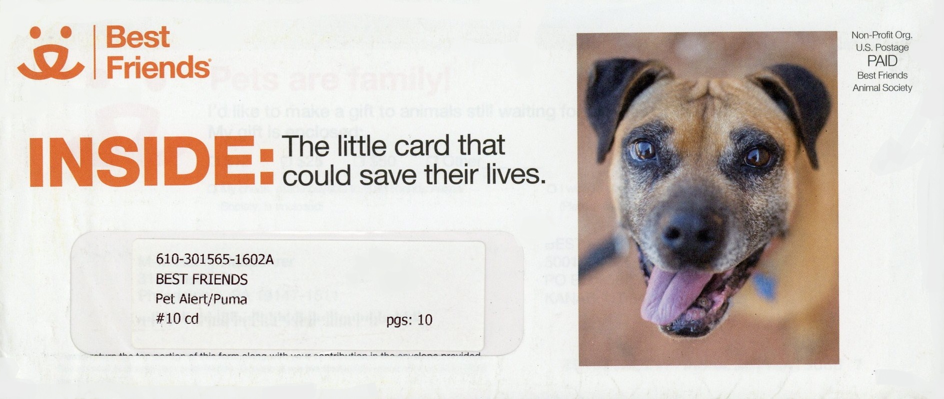 Best Friends’ Mail Focuses On Saving Lives - NonProfit PRO